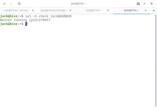 How to use multiplexing to speed up the SSH login process - TechRepublic