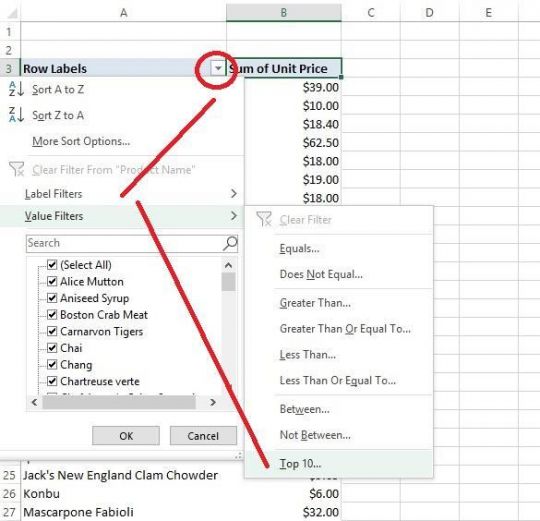How to display the top n records in an Excel PivotTable using built-in ...