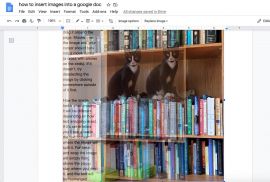 How to add images, tables, and drawings to a Google Doc file - TechRepublic