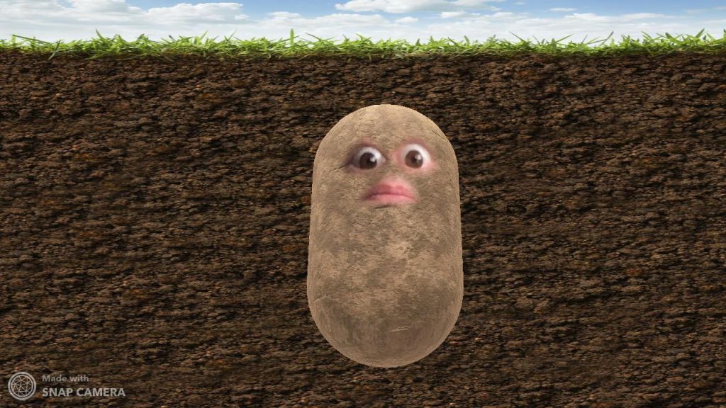 How to change your face in Zoom with Snapchat's desktop camera app ...