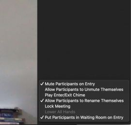 How to prevent Zoom bombing: 5 simple tips | TechRepublic