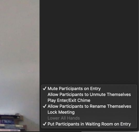 How to prevent Zoom bombing: 5 simple tips | TechRepublic