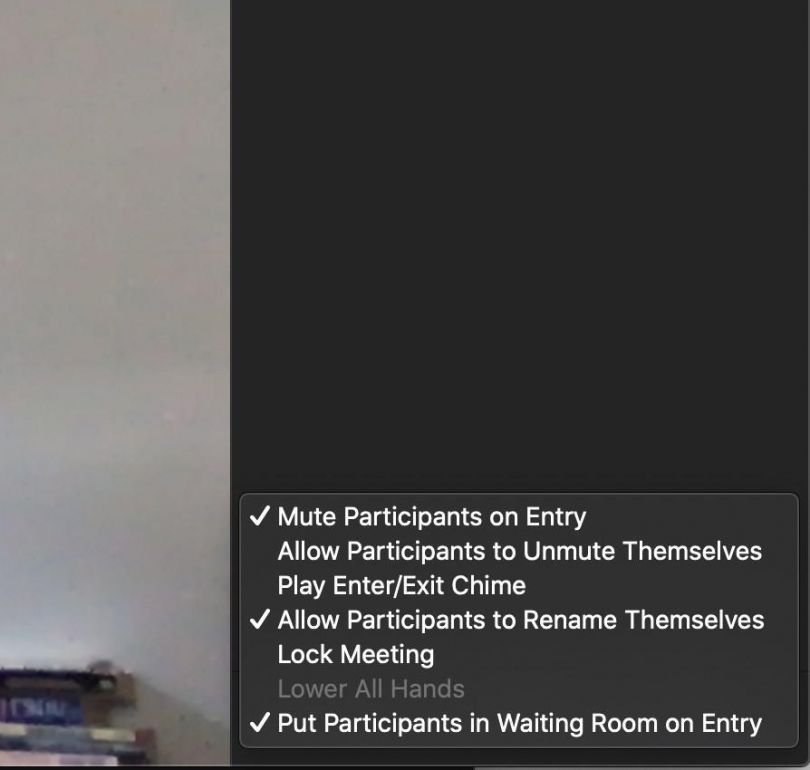 How to prevent Zoom bombing: 5 simple tips | TechRepublic