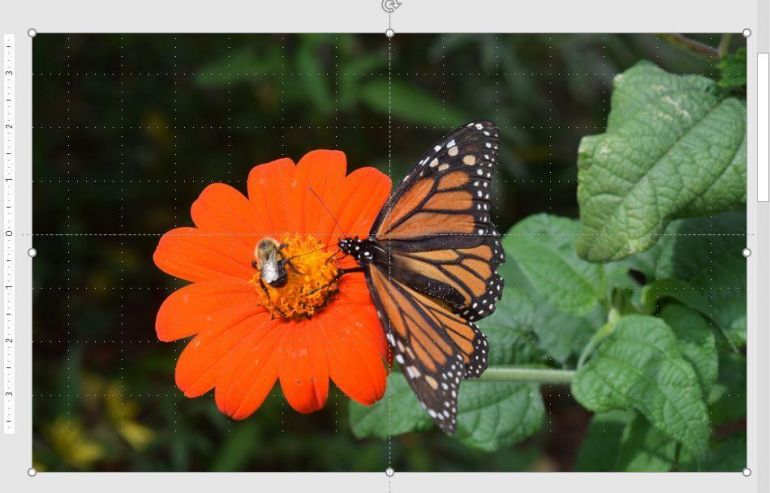 How to expose parts of a PowerPoint slide for emphasis | TechRepublic