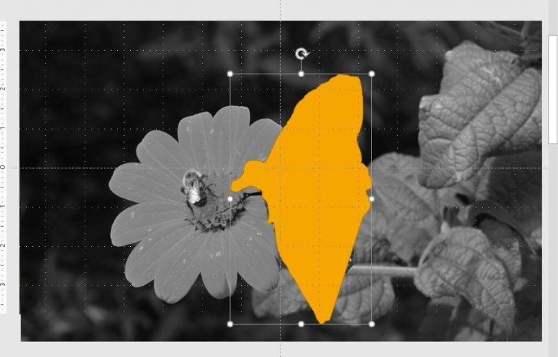 How to expose parts of a PowerPoint slide for emphasis | TechRepublic