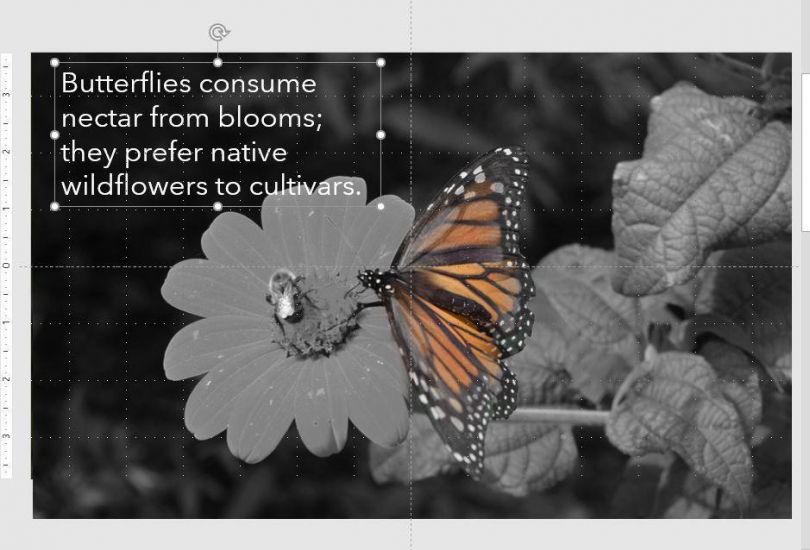 How to expose parts of a PowerPoint slide for emphasis | TechRepublic