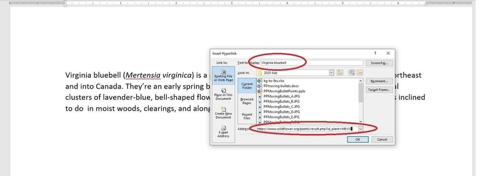 How to add hyperlinks to a Word document - TechRepublic