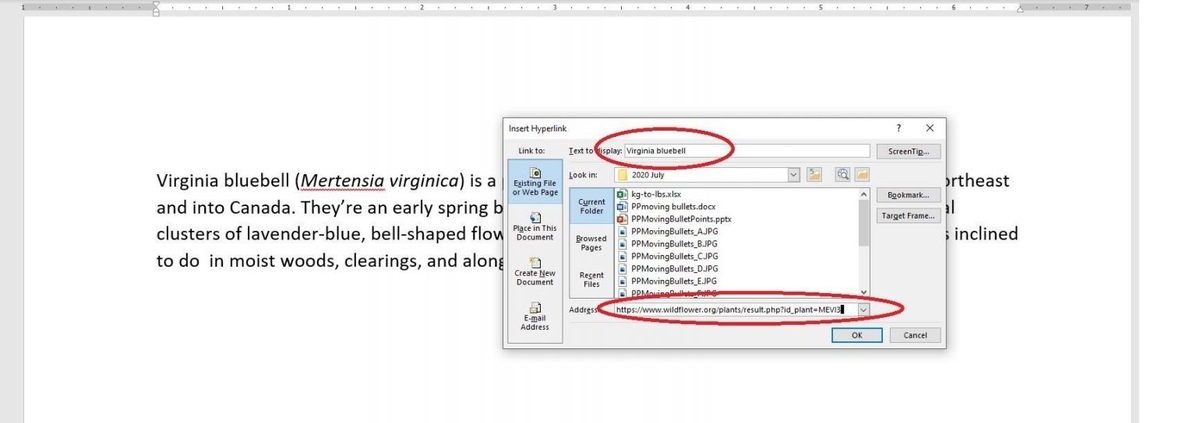 How to add hyperlinks to a Word document - TechRepublic