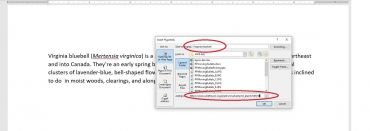 How to add hyperlinks to a Word document - TechRepublic