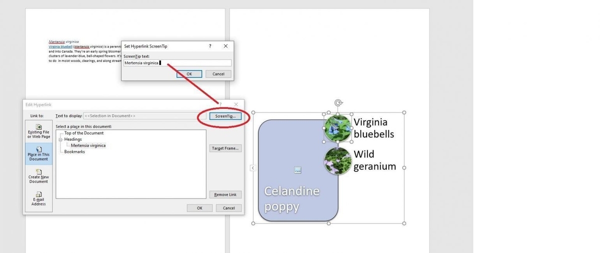 How to add hyperlinks to a Word document - TechRepublic