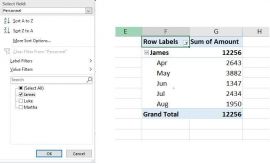 How to filter a pivot table in Excel