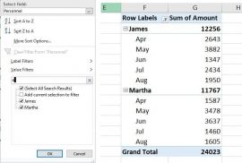 How to filter a pivot table in Excel