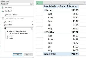 How to filter a pivot table in Excel