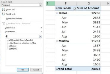 How to filter a pivot table in Excel