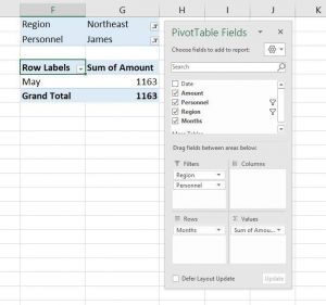 How to filter a pivot table in Excel