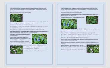 How to color pages in a Word document - TechRepublic