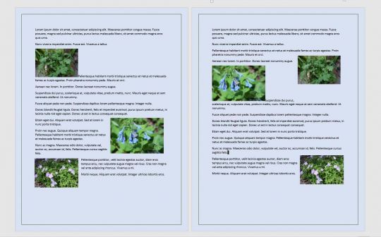 How to color pages in a Word document - TechRepublic