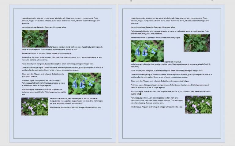 How to color pages in a Word document - TechRepublic