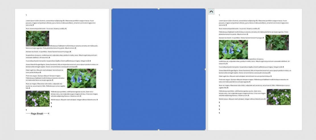 How to color pages in a Word document - TechRepublic