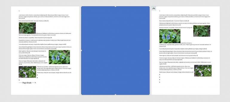 How to color pages in a Word document - TechRepublic