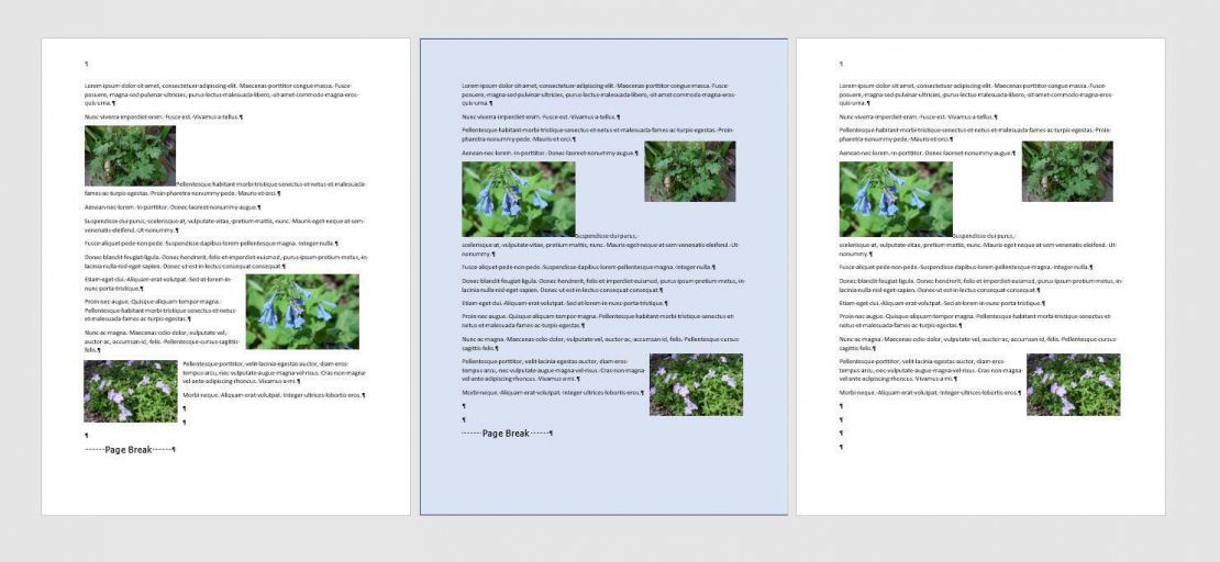 How to color pages in a Word document - TechRepublic