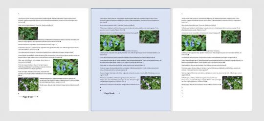 How to color pages in a Word document - TechRepublic