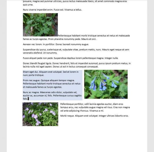 How to color pages in a Word document - TechRepublic