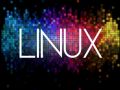 Linux 101: Listing files and folders within a directory | TechRepublic