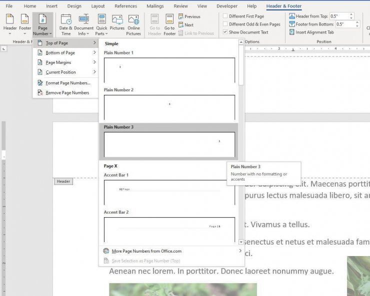 How to avoid a disappearing page number in Microsoft Word