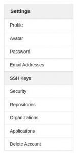 How to connect to your local Gogs repository from the git command line