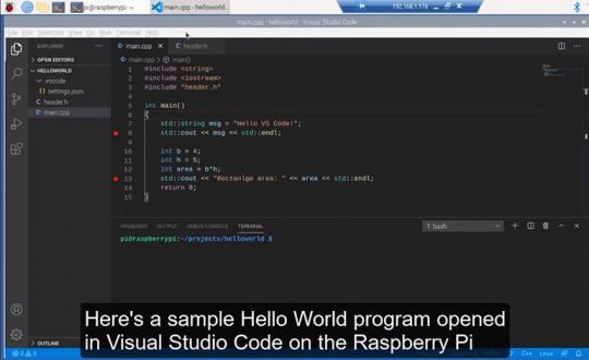 Raspberry Pi and Visual Studio Code: A great combination - TechRepublic