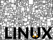 Linux 101: $HOME is where the heart is | TechRepublic