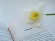 How to include the chapter number with a Word document's page number ...