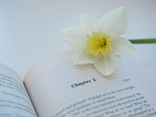 How to include the chapter number with a Word document's page number ...