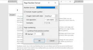 How to include the chapter number with a Word document's page number ...