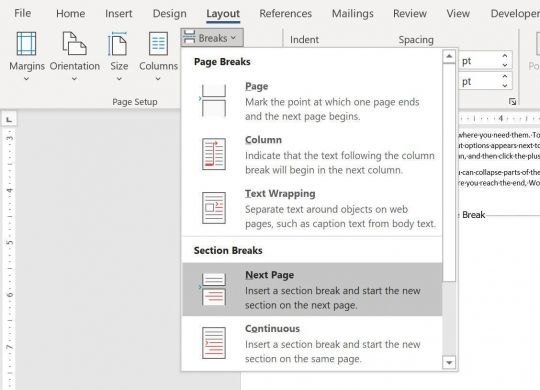 How to include the chapter number with a Word document's page number ...