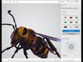 How to quickly view your files and documents in Windows with QuickLook ...