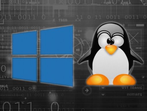 Microsoft adds Windows Subsystem for Linux Preview to Windows 11 ...