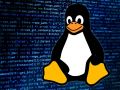 Tux: A brief history of the Linux mascot - TechRepublic