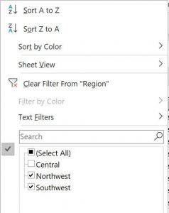 How to use the FILTER() dynamic array function in Excel