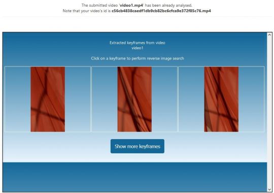 如何安装和使用 InVID，一个用于揭穿假新闻并验证视频和图像的插件 - Flnug.com