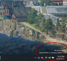 How to display version information on the Windows 11 desktop
