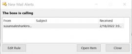 How to display an alert when Outlook email from a specific address ...