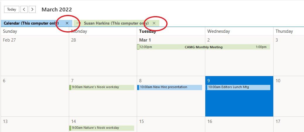 How to view multiple calendars at the same time in Outlook