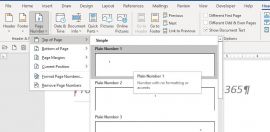 How to start page numbers after the first few pages in a Word document ...