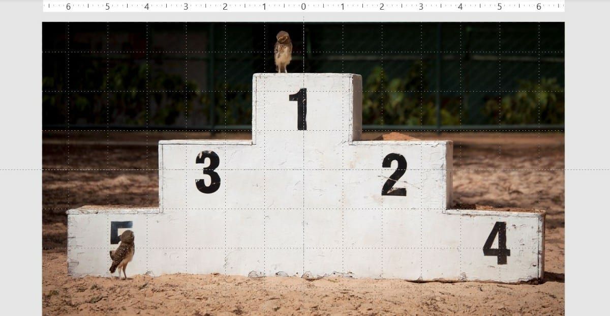 How to use the morph feature to highlight important details in ...