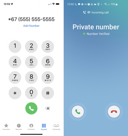 How to use dialer codes on your iPhone to view technical data ...