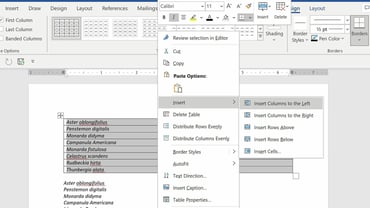 How to reverse the order of a list and maintain the original order in ...