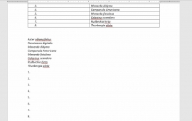 How to reverse the order of a list and maintain the original order in ...