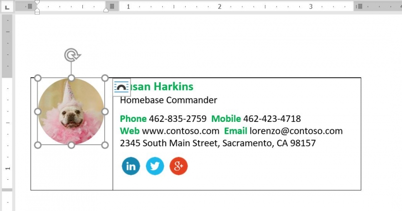 How to create a professional signature in Microsoft Word for Outlook ...